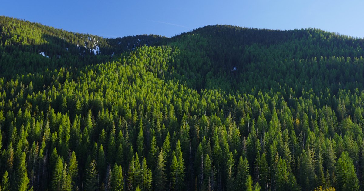 Environmental peacebuilding — Peace Insight