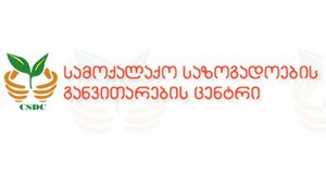 Civil Society Development Centre (CSDC) — Peace Insight