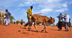 A corridor of opportunity? The LAPSSET project in local context — Peace ...