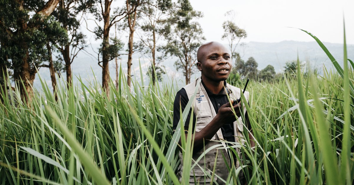 Conflict prevention and early warning — Peace Insight