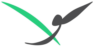 Sawa for Development and Aid — Peace Insight