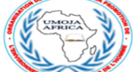 Umoja-Africa RDC (UA-RDC) — Peace Insight